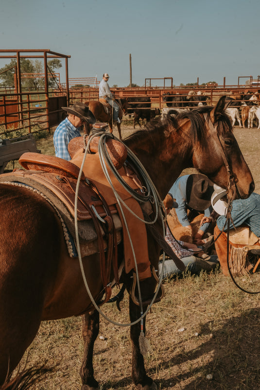 2nd Head Ropes – Trent Ward Saddlery